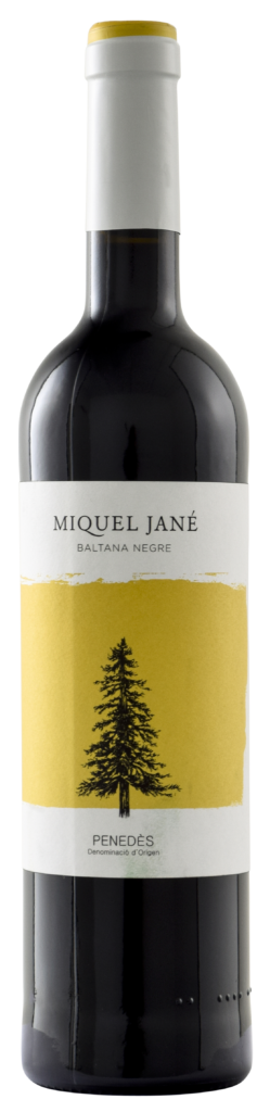 Baltana Negre, Miquel Jané, 2013 - Smag på vin